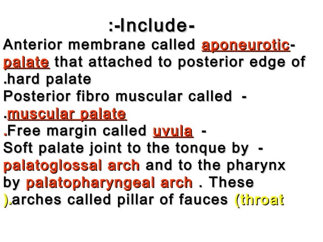 Anatomy of Soft palate | PPT