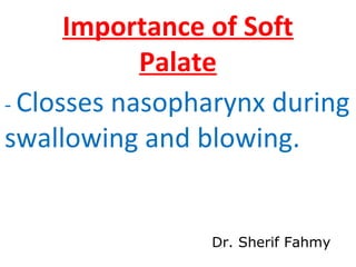 Soft Palate (Anatomy of the Neck) | PPS