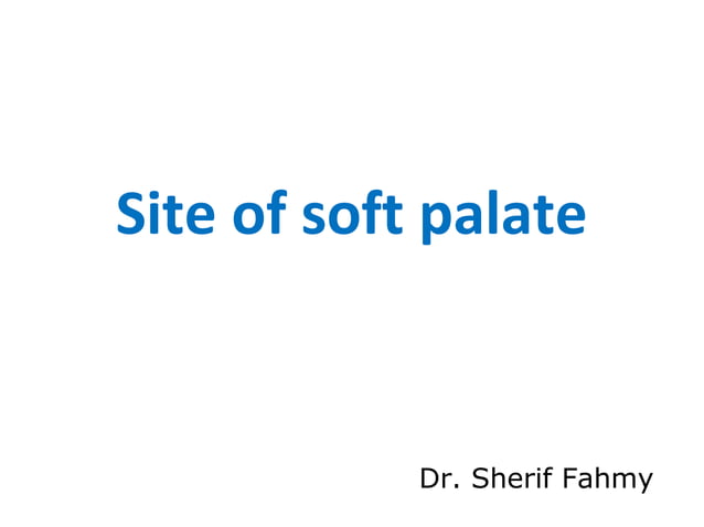 Soft Palate (Anatomy of the Neck) | PPT