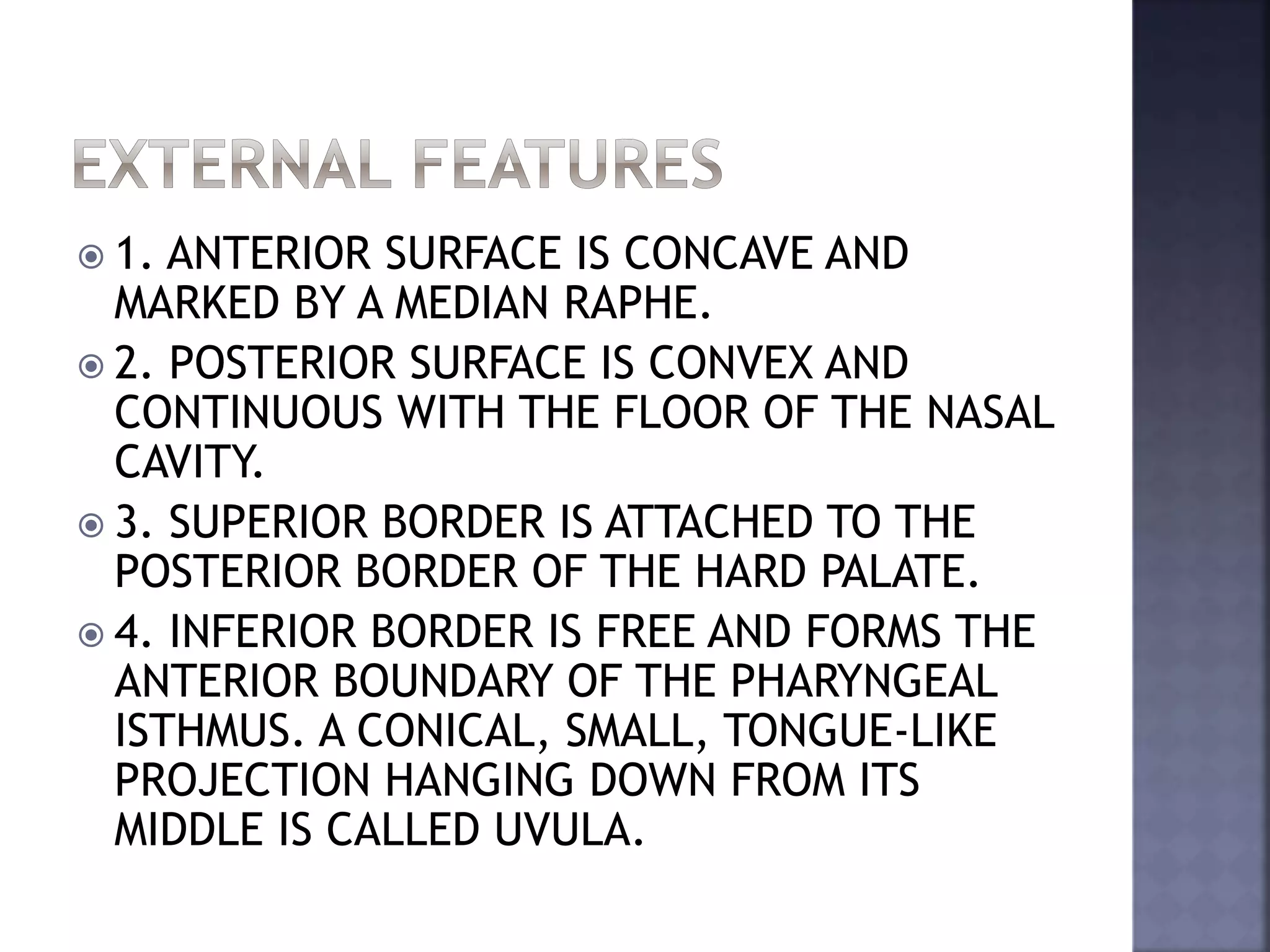 Soft Palate | PPTX