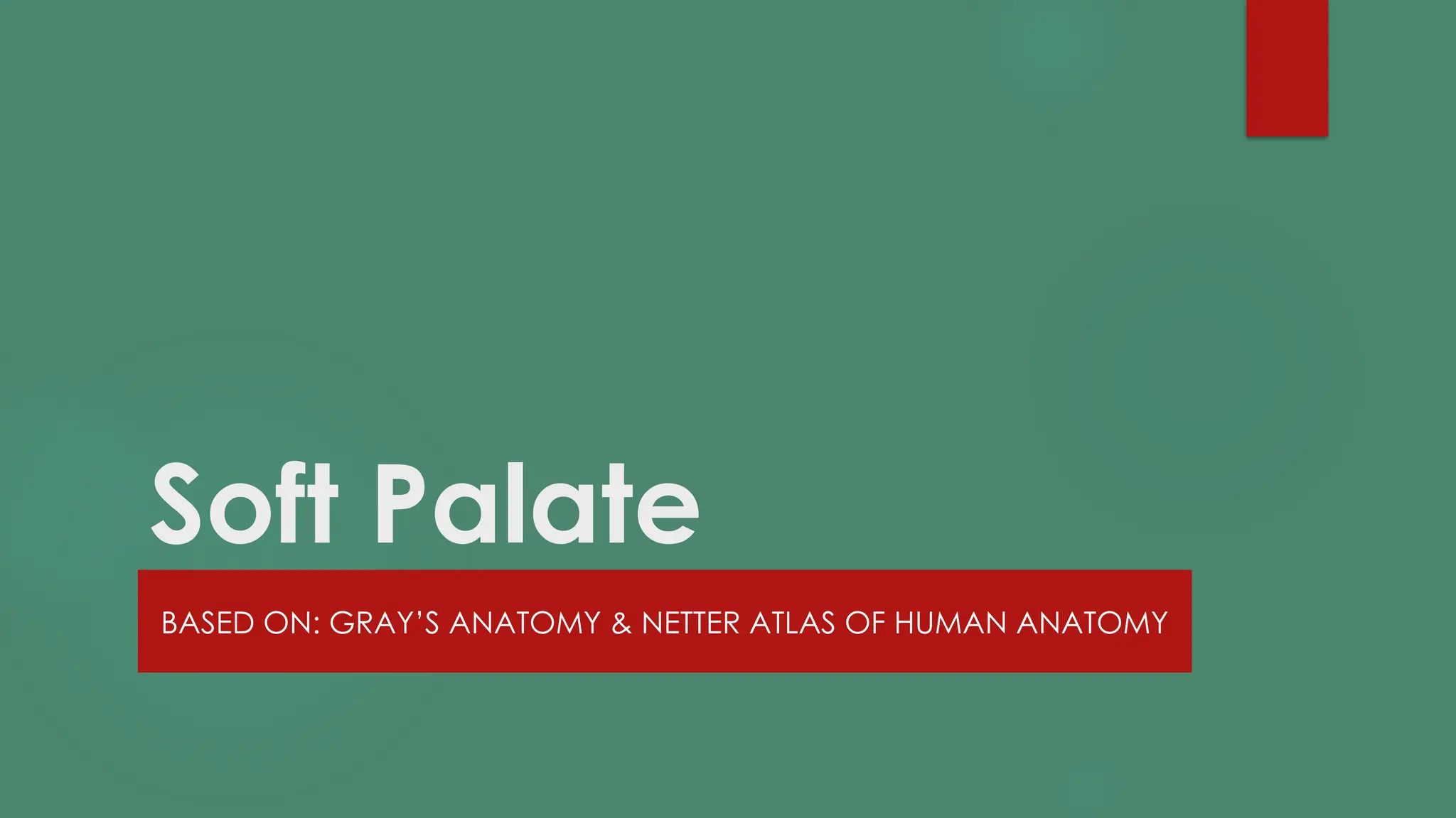 Soft Palate anatomy muscles blood supplies and innervations.pptx