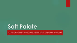 Soft Palate anatomy muscles blood supplies and innervations.pptx