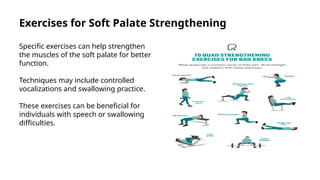 Soft Palate And Hard Palates Muscles.pptx