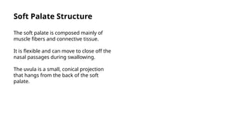 Soft Palate And Hard Palates Muscles.pptx