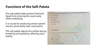 Soft Palate And Hard Palates Muscles.pptx