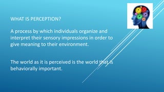 What is Perception?What is Individual Decision Making?7 Steps to ...