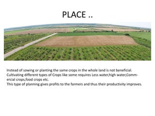 farming productivity management | PPTX