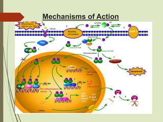 Soft steroids | PPTX