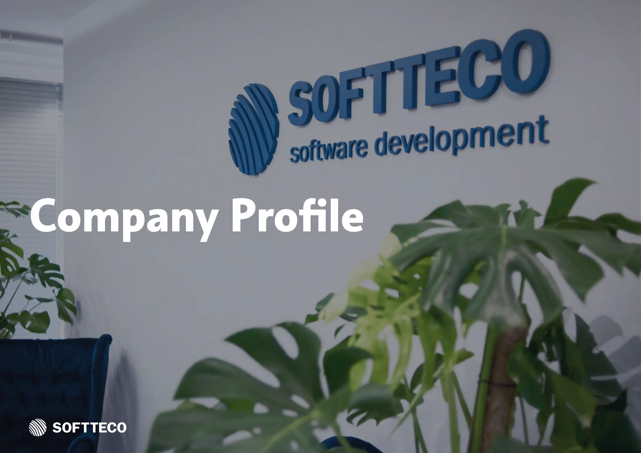SoftTeco - Software Development Company Profile | PDF