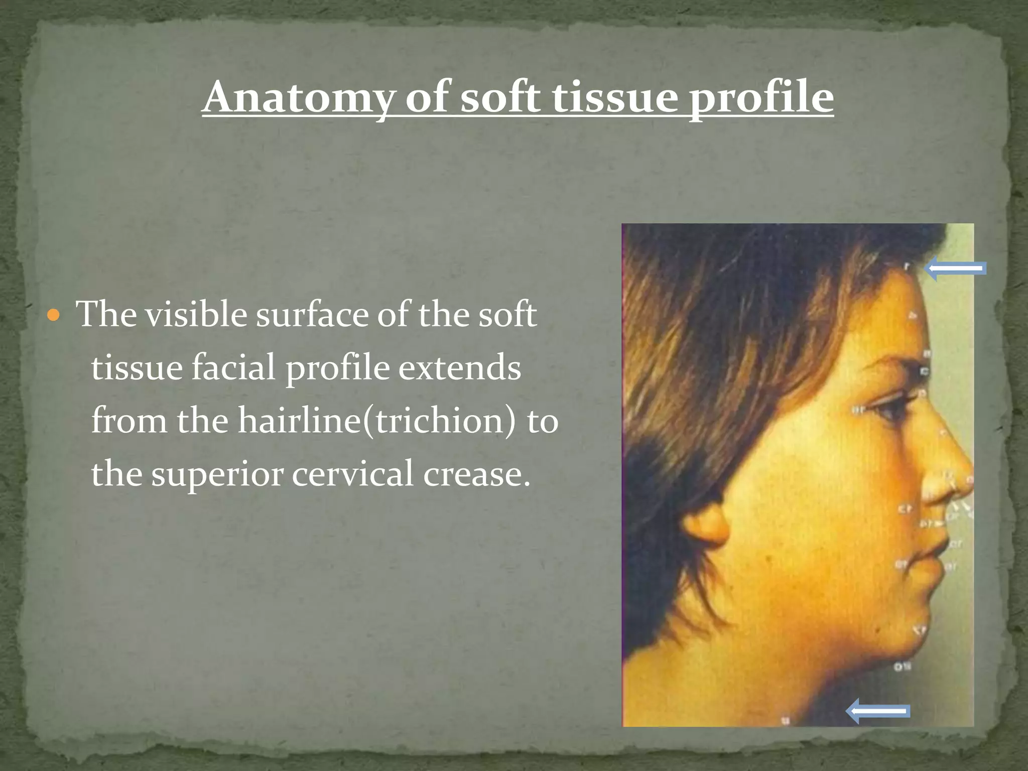 Soft tissue analysis | PPTX