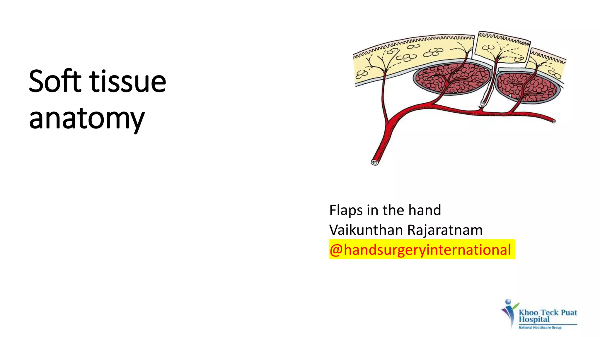Soft tissue anatomy for hand flaps | PPTX