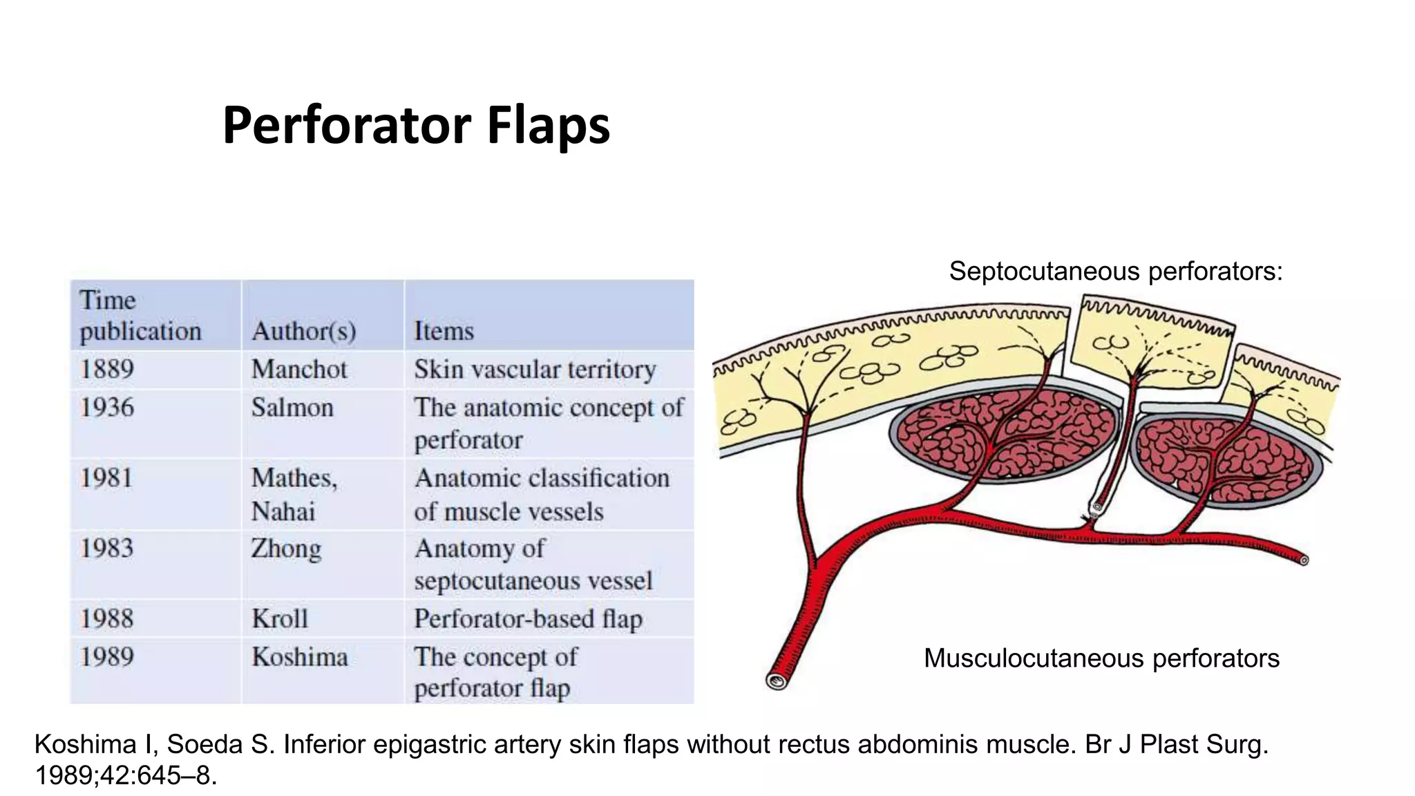 Soft tissue anatomy for hand flaps | PPTX