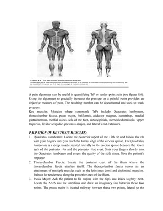 Soft tissue assessment | PDF