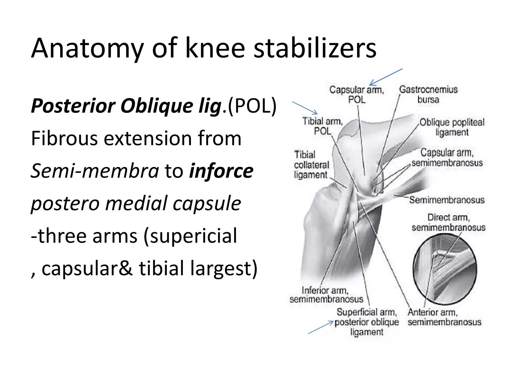 Soft Tissue Balancing in Primary Total Knee Arthroplasty | PPTX