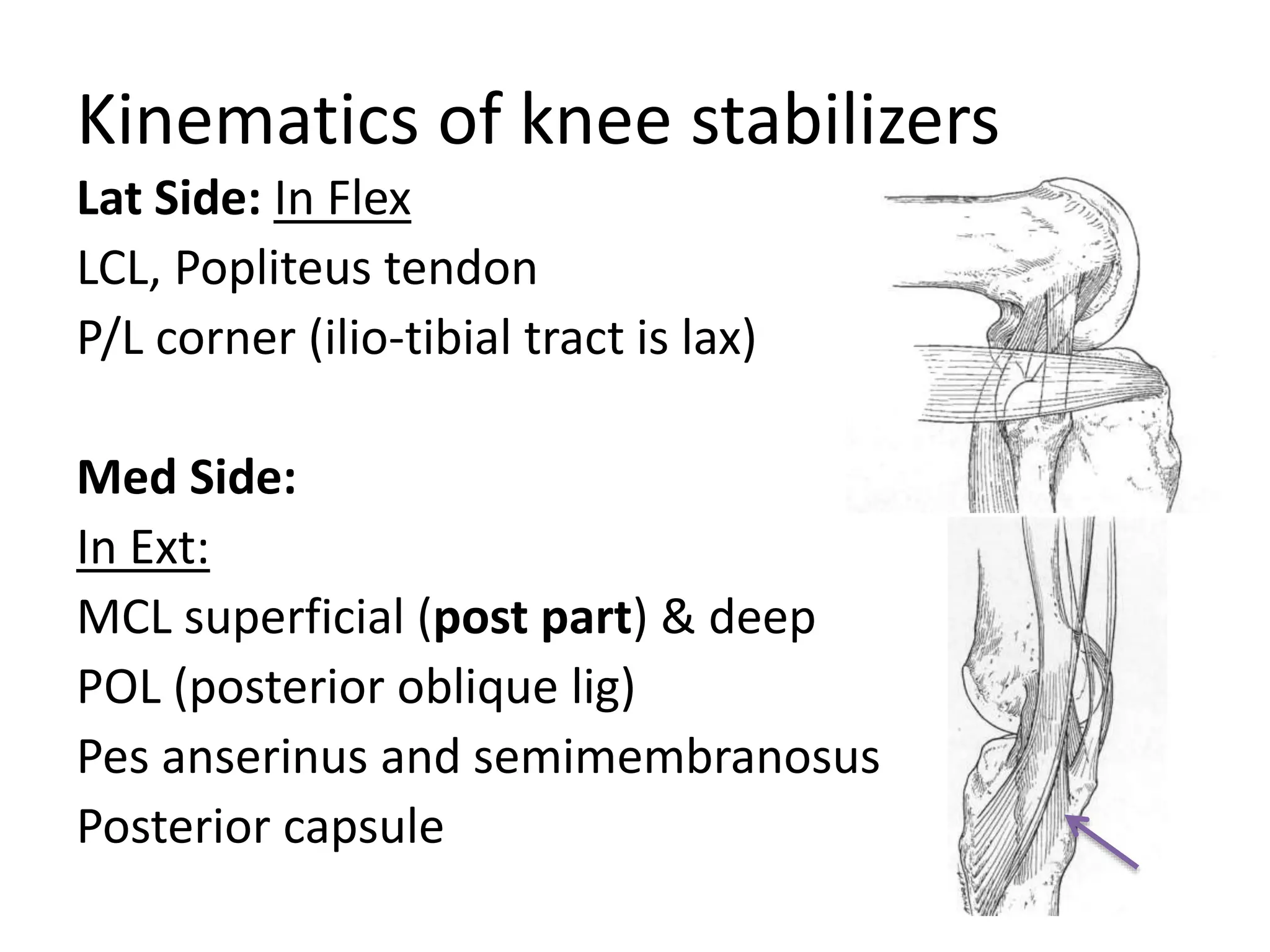 Soft Tissue Balancing in Primary Total Knee Arthroplasty | PPTX