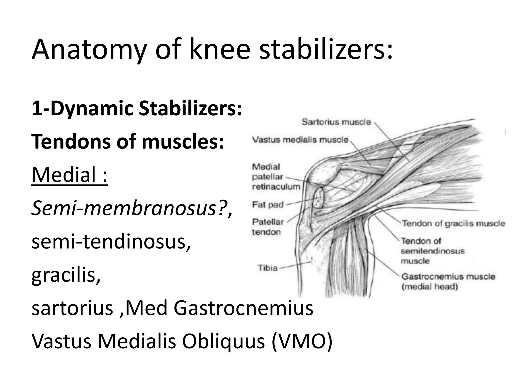 Soft Tissue Balancing in Primary Total Knee Arthroplasty | PPTX