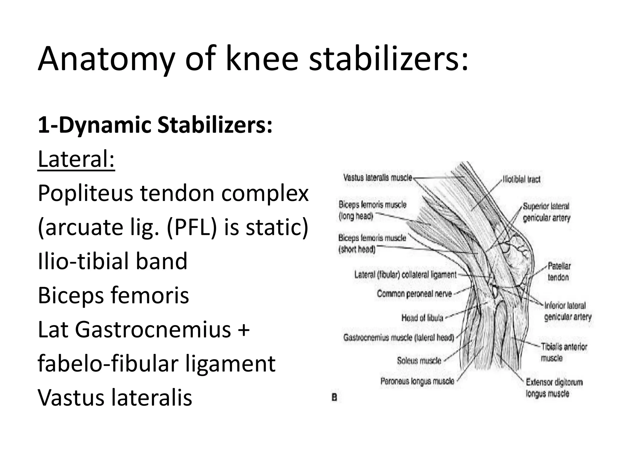Soft Tissue Balancing in Primary Total Knee Arthroplasty | PPTX