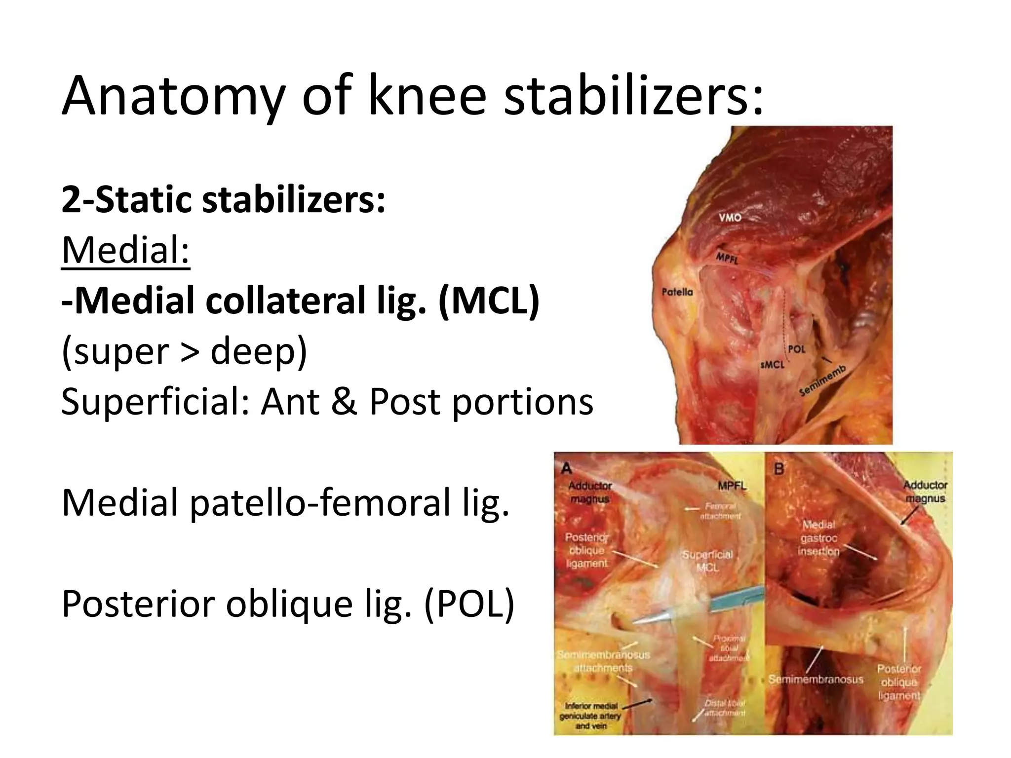 Soft Tissue Balancing in Primary Total Knee Arthroplasty | PPTX