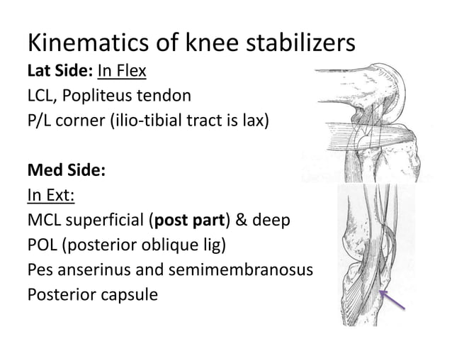 Soft Tissue Balancing in Primary Total Knee Arthroplasty | PPTX