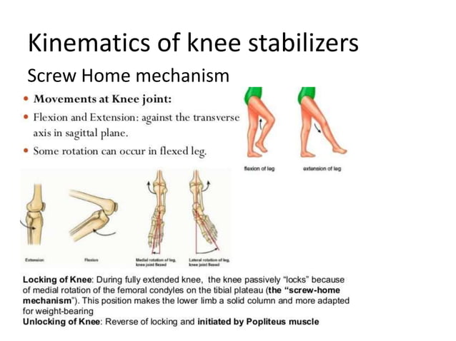 Soft Tissue Balancing in Primary Total Knee Arthroplasty | PPTX