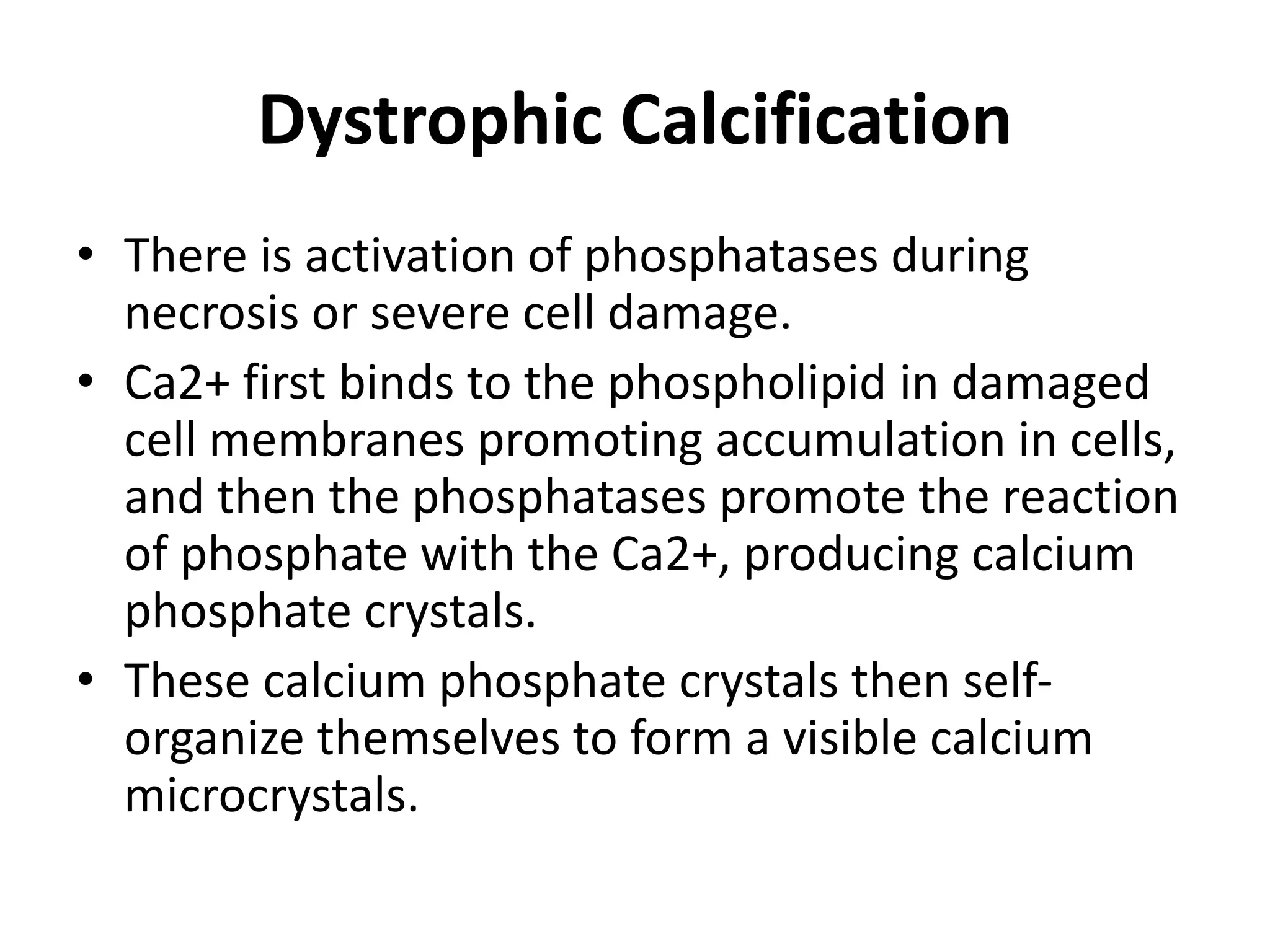 Soft tissue calcification | PPTX