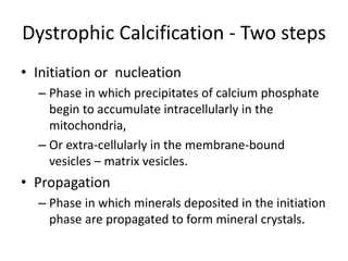Soft tissue calcification | PPTX