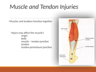 Soft tissue injuries - Muscles , ligaments and tendon injuries | PPTX