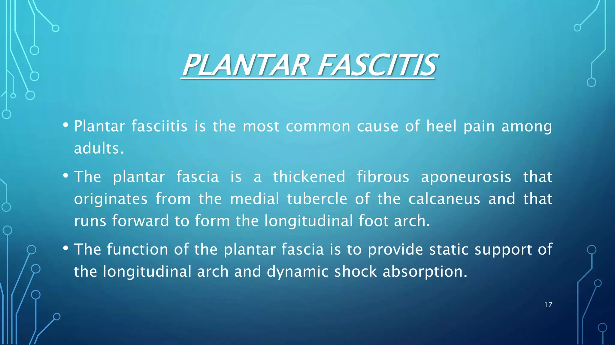 Soft Tissue Injuries Of The Ankle | PPTX
