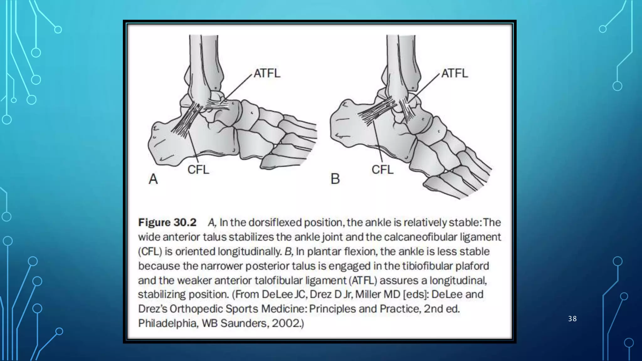 Soft Tissue Injuries Of The Ankle | PPTX