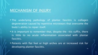 Soft Tissue Injuries Of The Ankle | PPTX