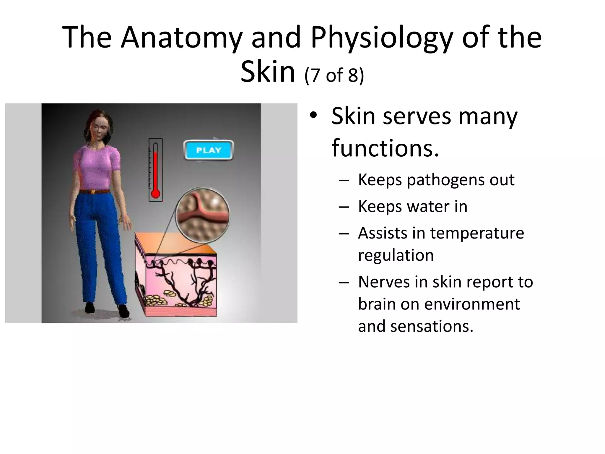 soft tissue injury.pptx