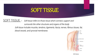Soft tissue injury by MD FURQUAN | PPTX