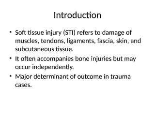Soft_Tissue_Injury_Maheshwari_25Slides.pptx