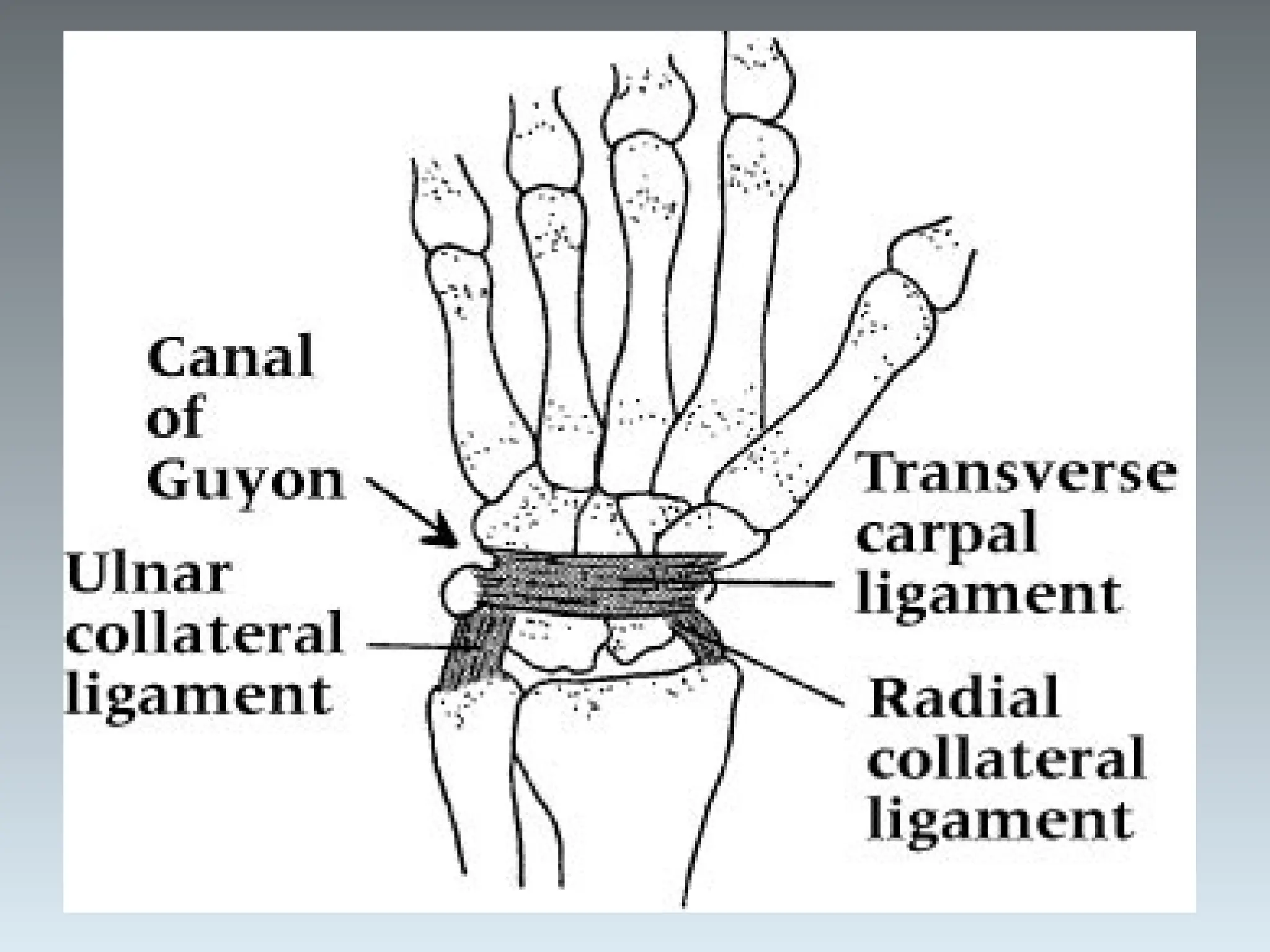 soft tissue injury and fractures of forearm, wrist and hand.ppt
