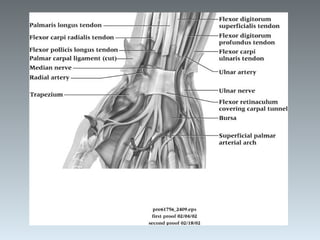 soft tissue injury and fractures of forearm, wrist and hand.ppt