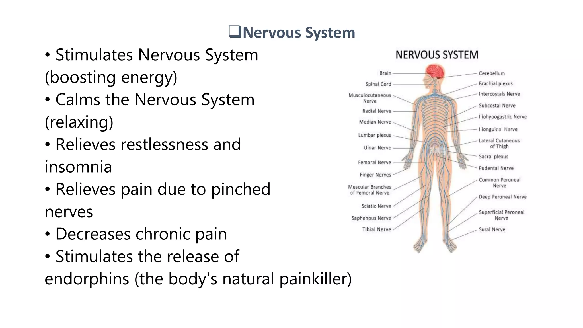 SOFT TISSUE MANIPULATION.pptx