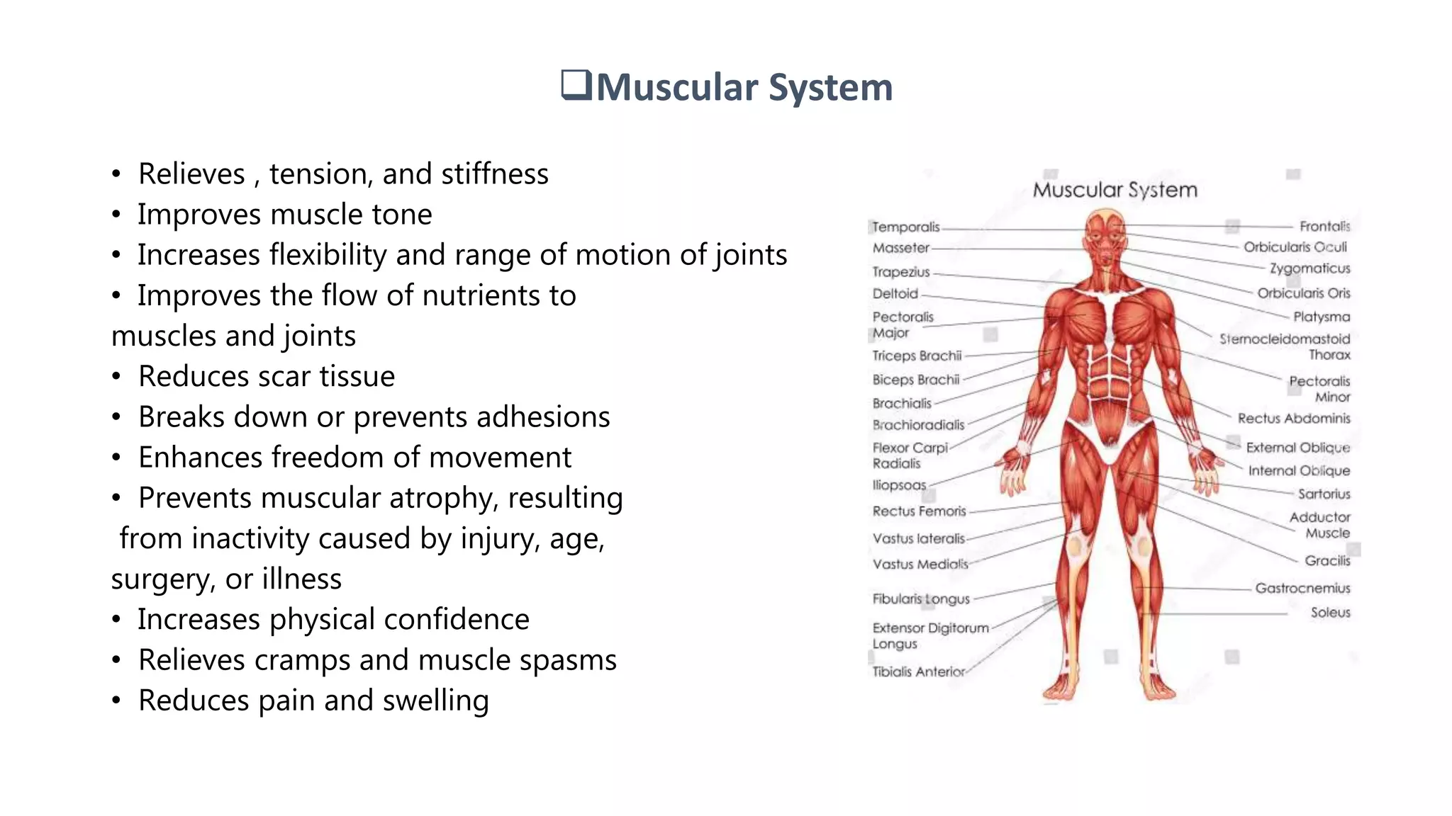 SOFT TISSUE MANIPULATION.pptx