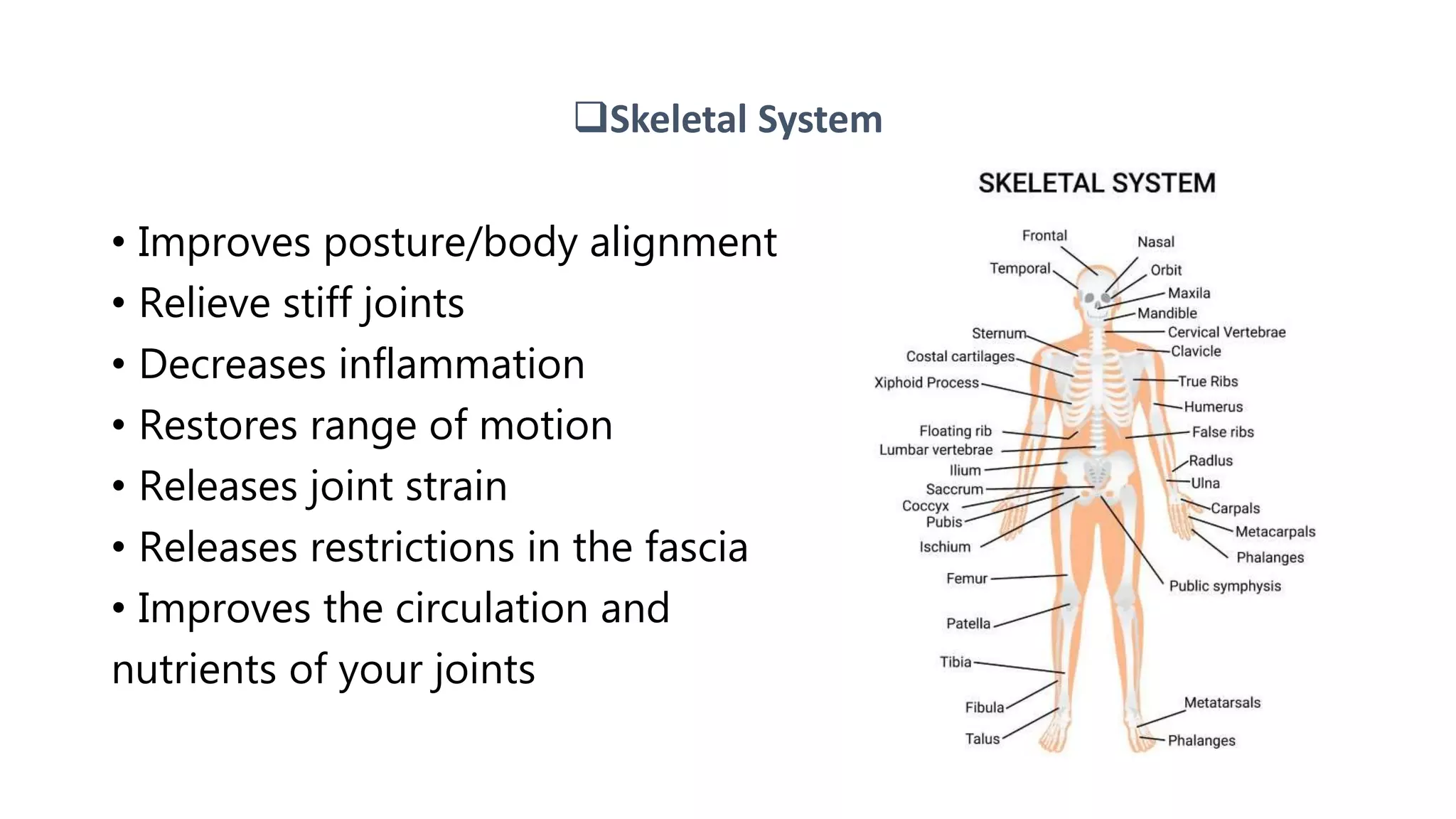 SOFT TISSUE MANIPULATION.pptx