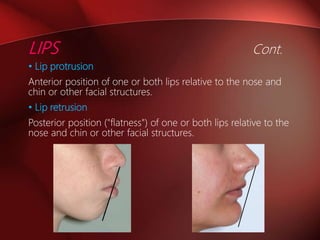 Soft tissue morphology | PPTX