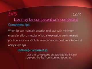 Soft tissue morphology | PPT
