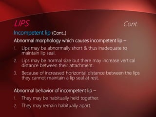 Soft tissue morphology | PPTX