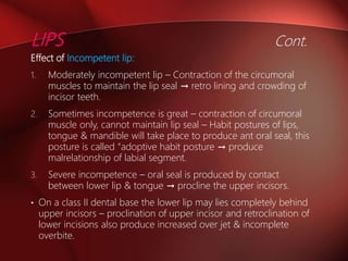 Soft tissue morphology | PPTX