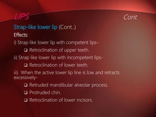 Soft tissue morphology | PPTX