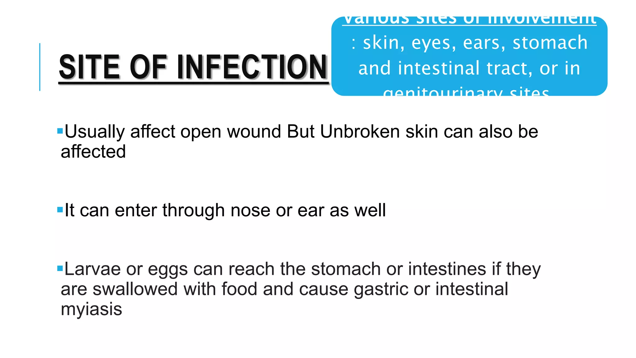Soft tissue myiasis (MAGGOTS) || Simplified Explanation || Images ...