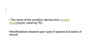 Soft tissue myiasis (MAGGOTS) || Simplified Explanation || Images ...
