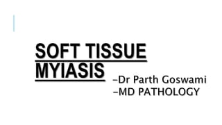 Soft tissue myiasis (MAGGOTS) || Simplified Explanation || Images ...