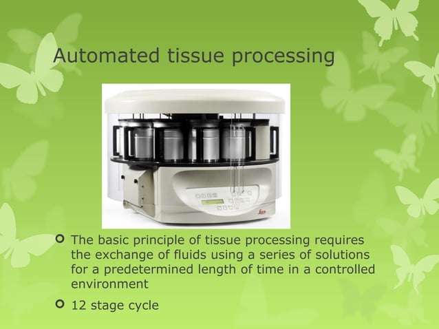 Soft tissue processing | PPT