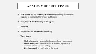 Soft tissue radiography-X-Ray.pptx. soft tissue | PPTX