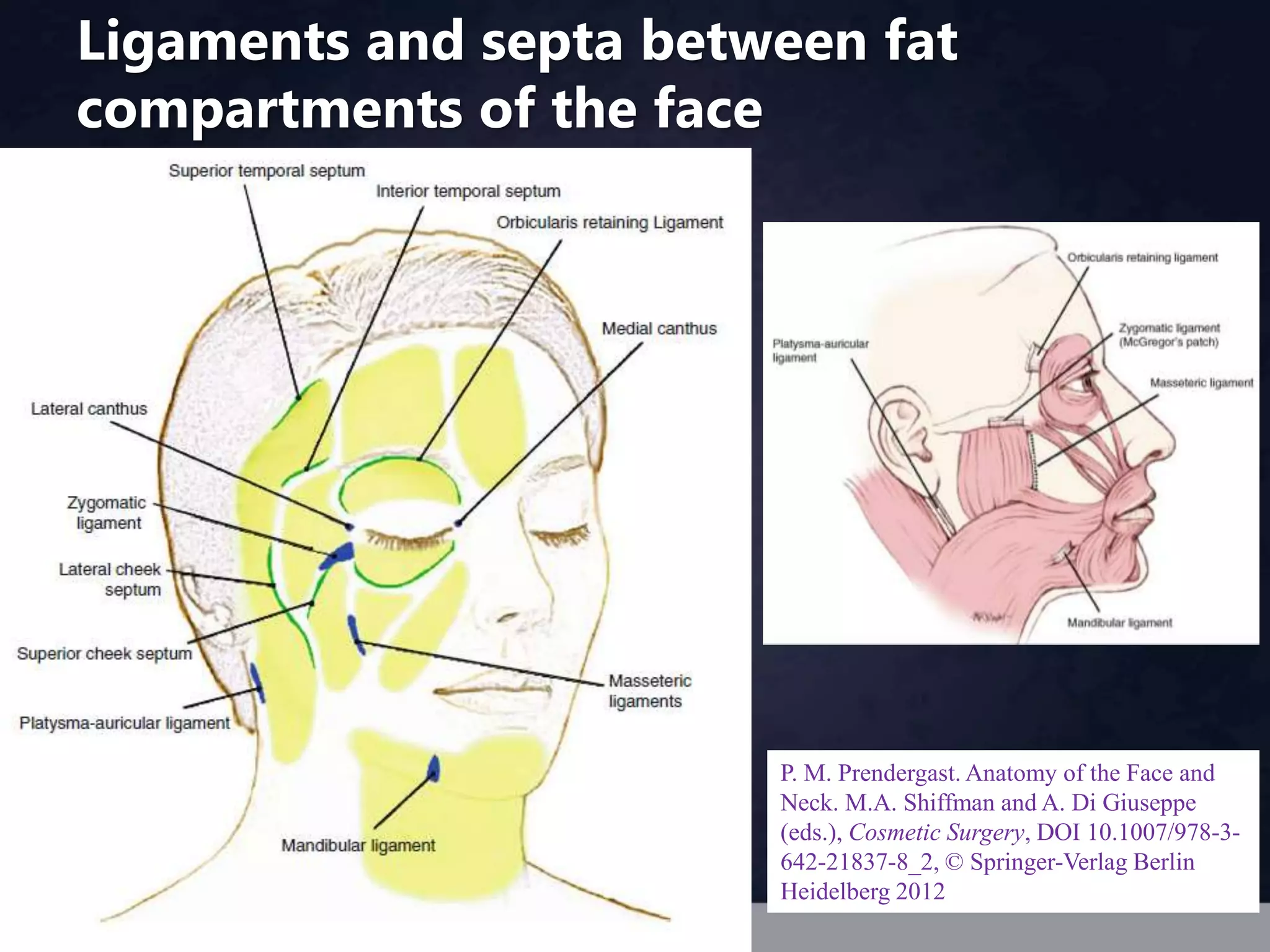 Soft tissue response and healing in omfs | PPTX