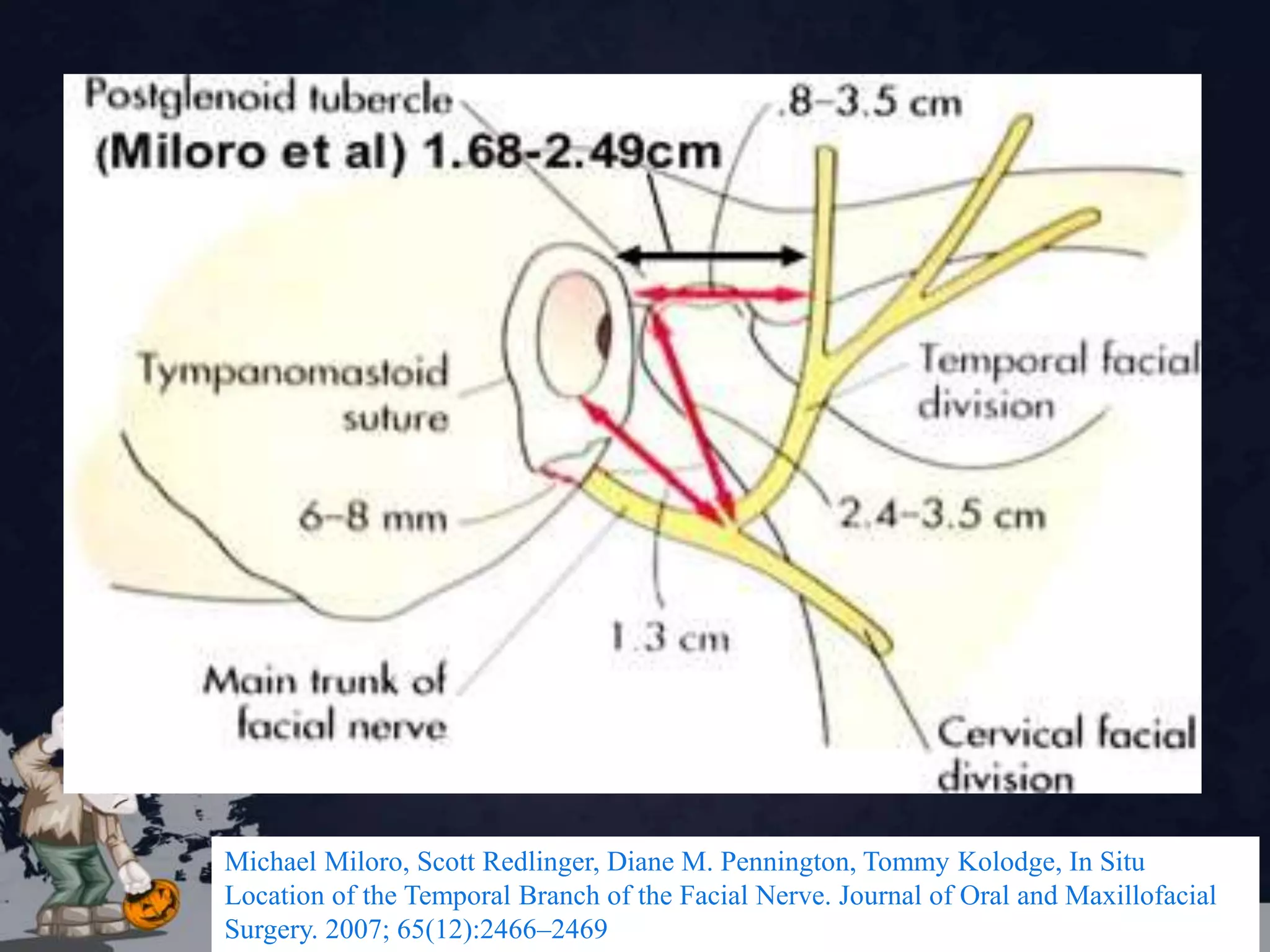 Soft tissue response and healing in omfs | PPTX